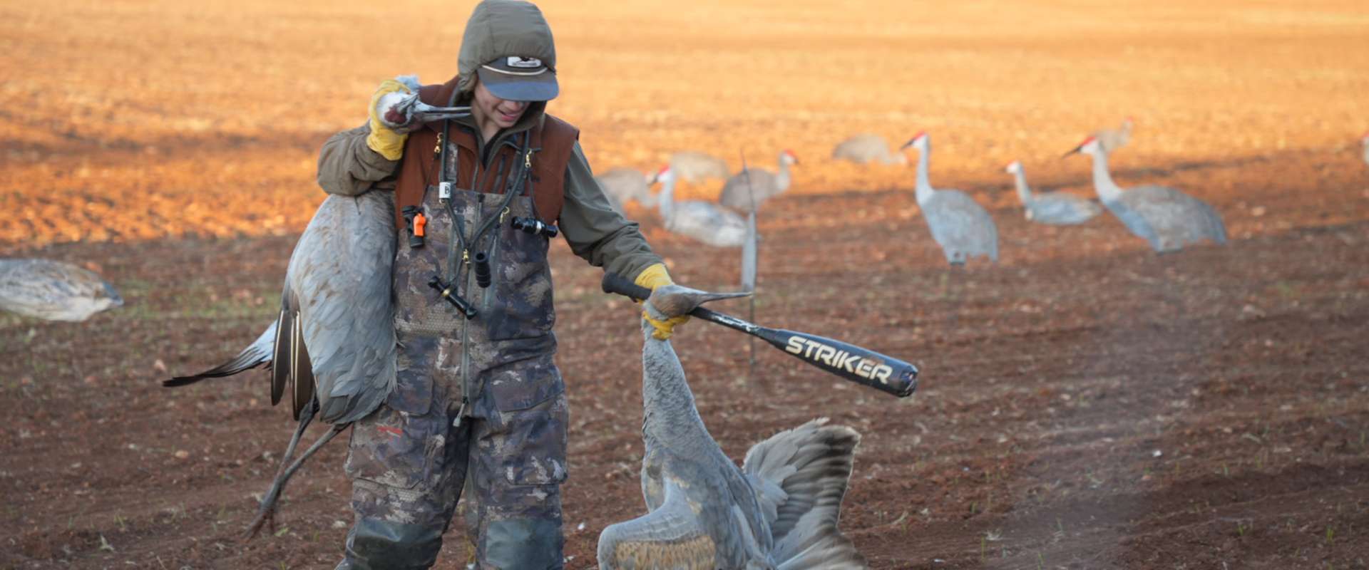 Sandhill Crane Hunts - Striker Outfitters
